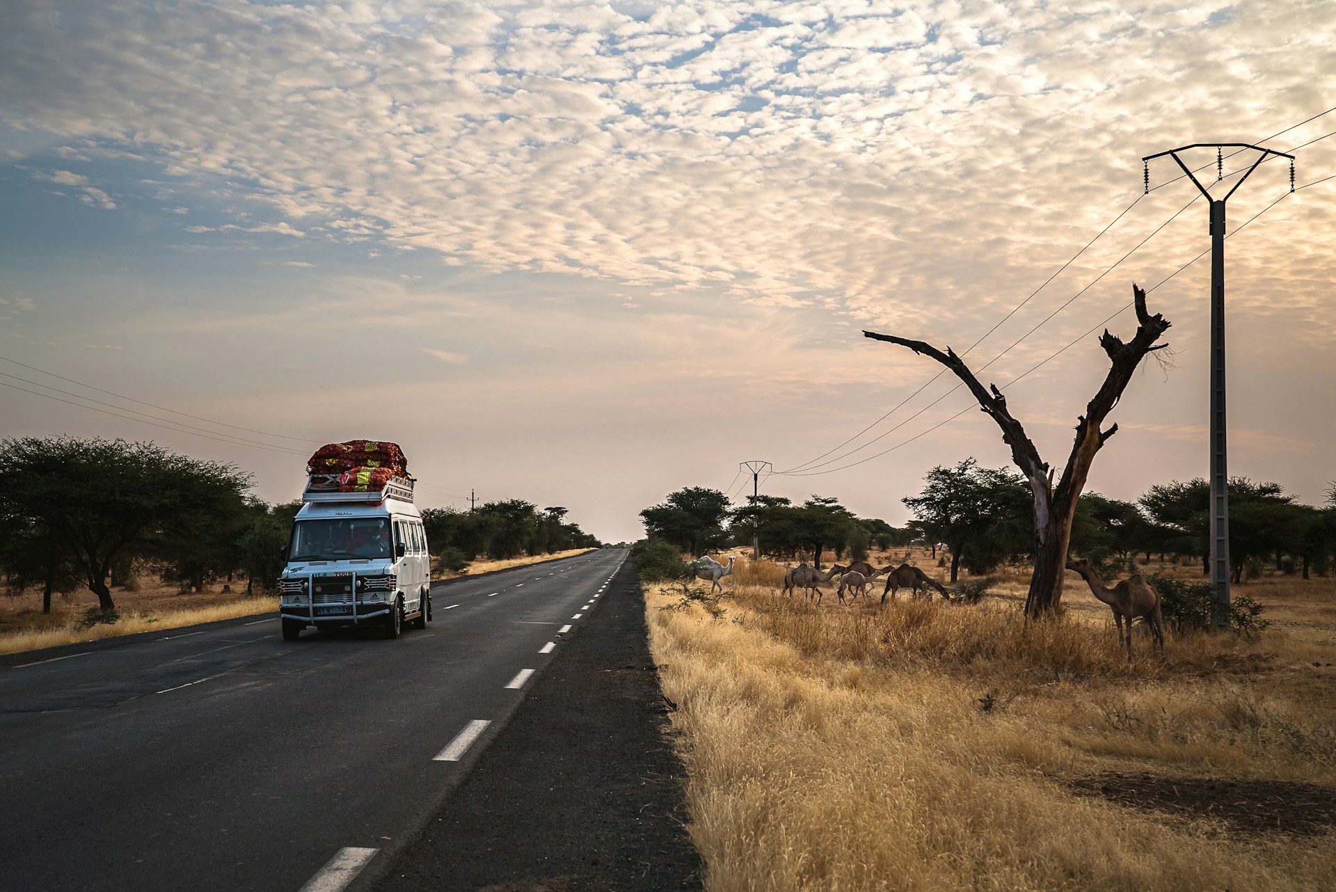 International Driving Permit (IDP) - Senegal
